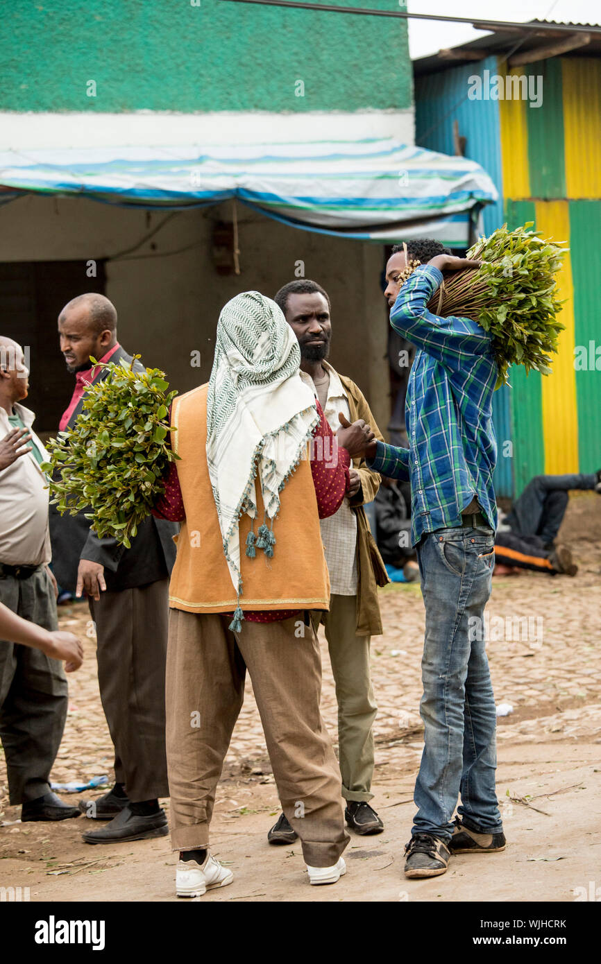 Khat ethiopia hi-res stock photography and images - Alamy