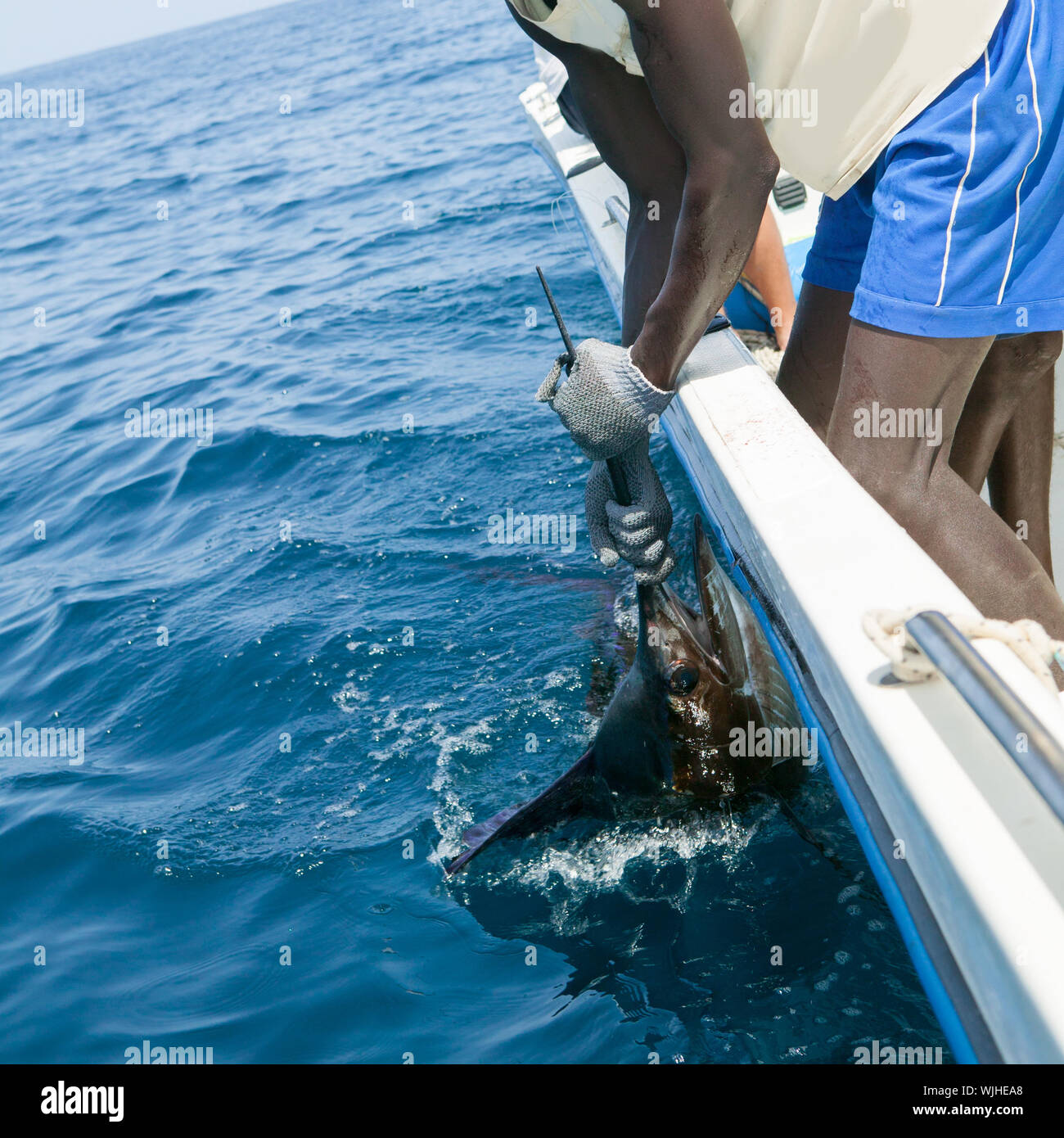 Billfish tournament hi-res stock photography and images - Alamy