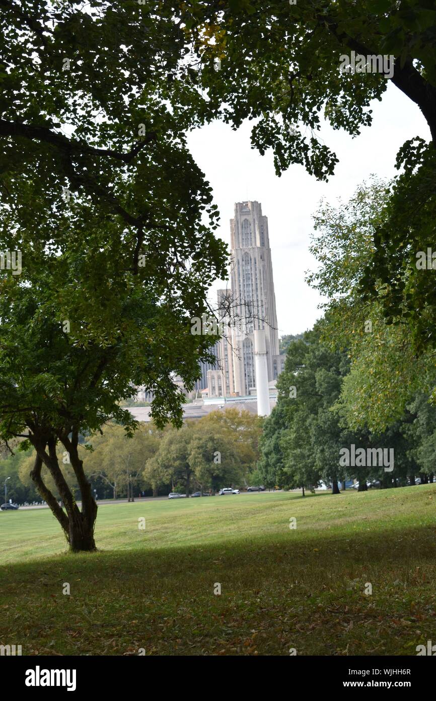Locks on pittsburgh bridge hi-res stock photography and images - Alamy