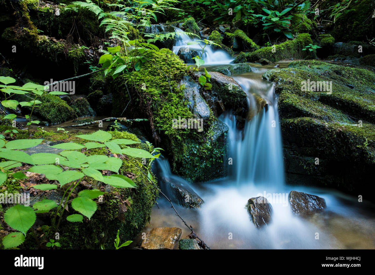 Lower cascade of Mingo Falls in Cherokee, North Carolina Stock Photo ...