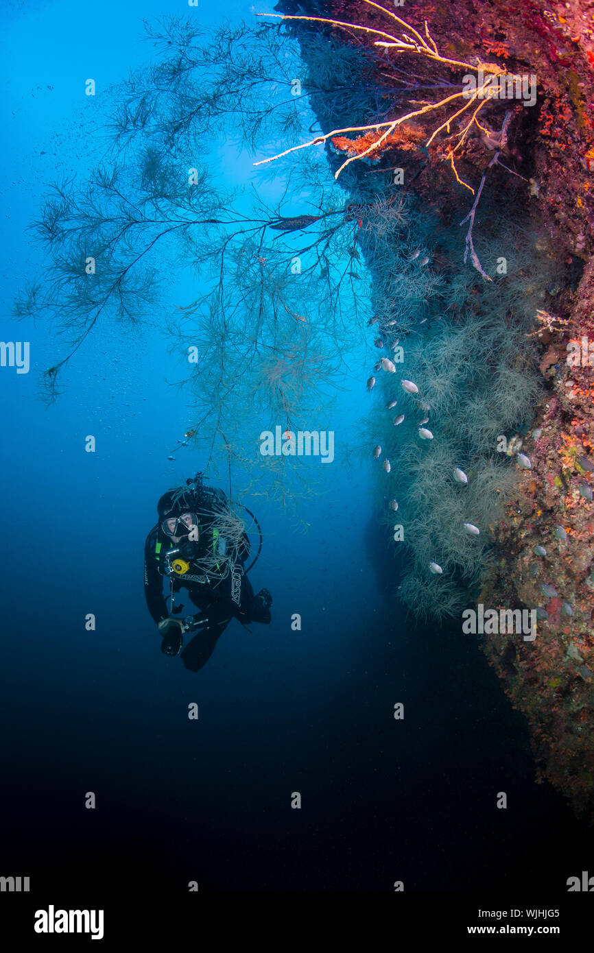 Deep water swimming hi-res stock photography and images - Alamy