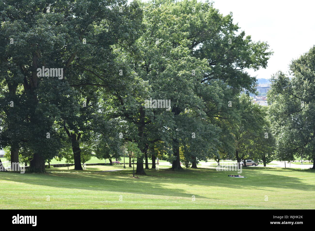 Locks on pittsburgh bridge hi-res stock photography and images - Alamy