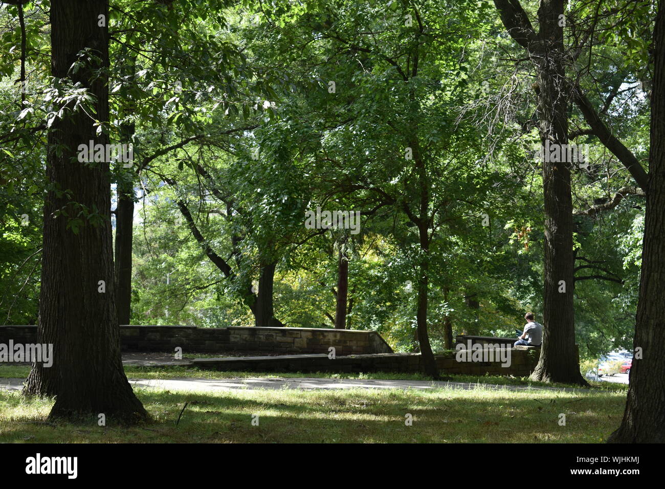 Locks on pittsburgh bridge hi-res stock photography and images - Alamy