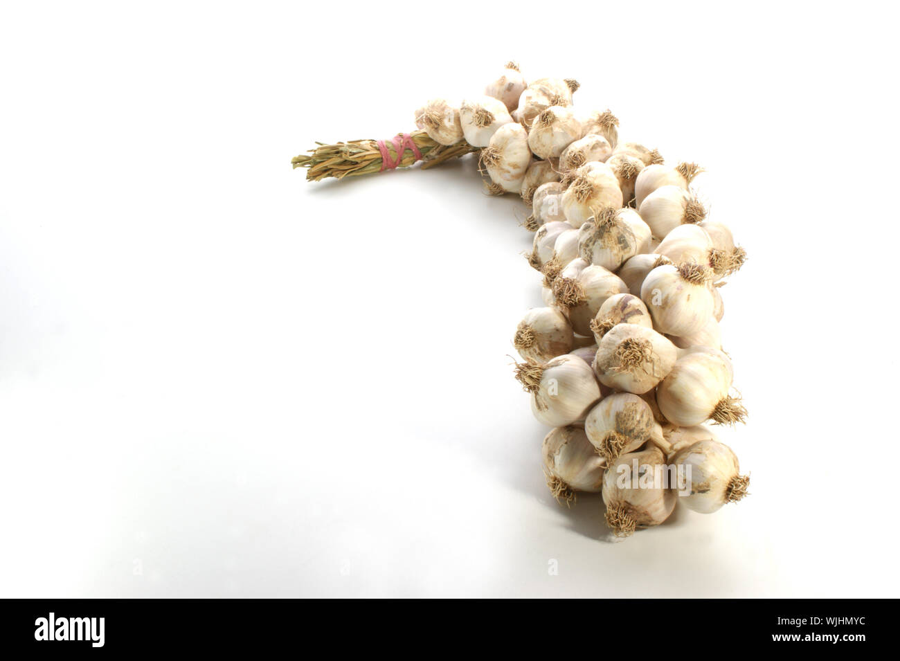plenty of garlic fresh from the field Stock Photo - Alamy