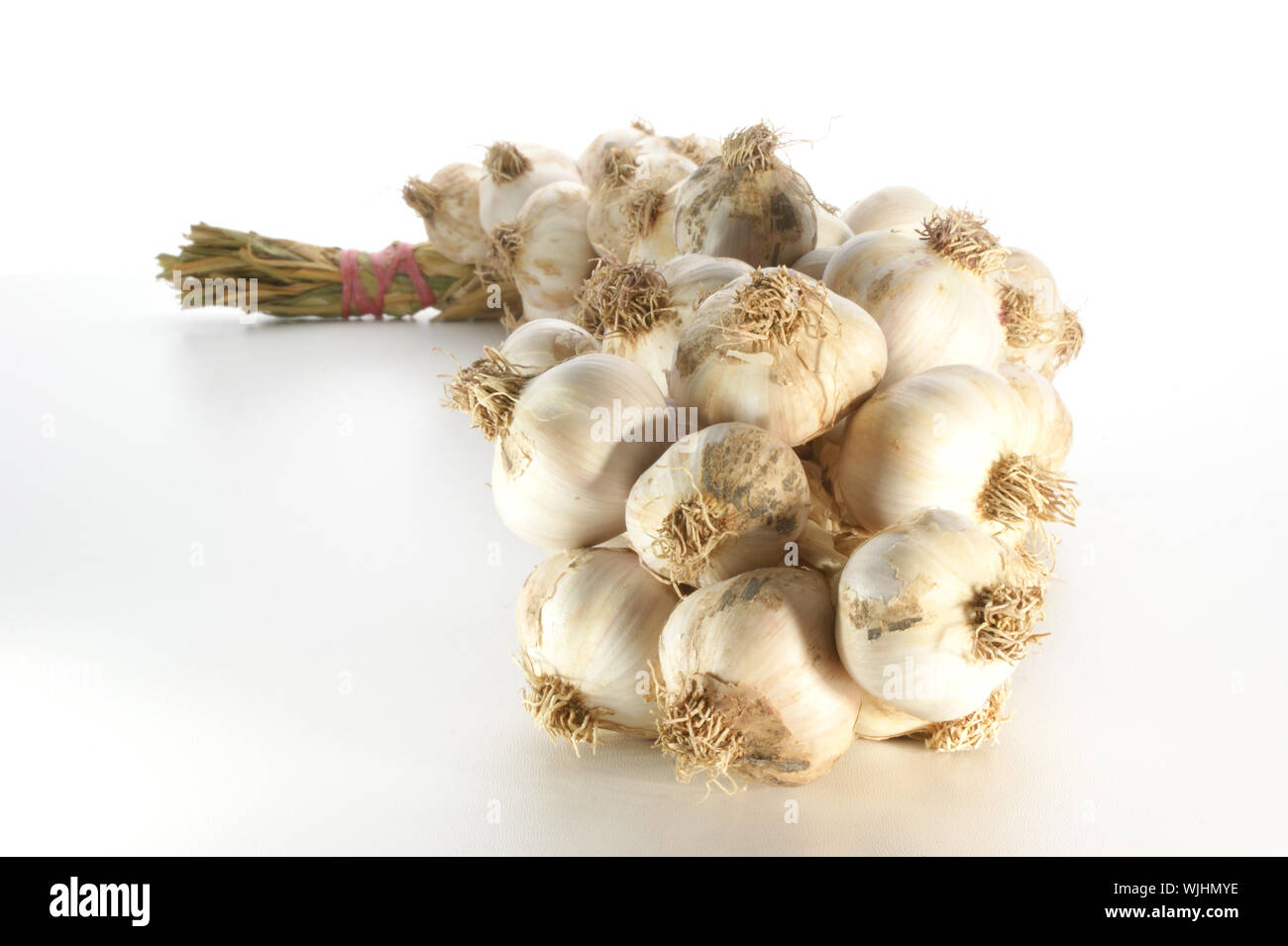 plenty of garlic fresh from the field Stock Photo - Alamy