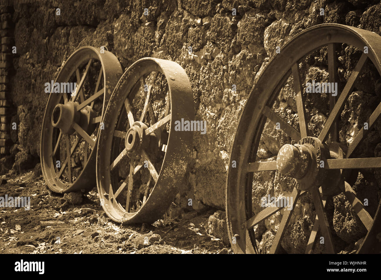 various food dishes, pizza, sphirra, snacks and various Stock Photo - Alamy