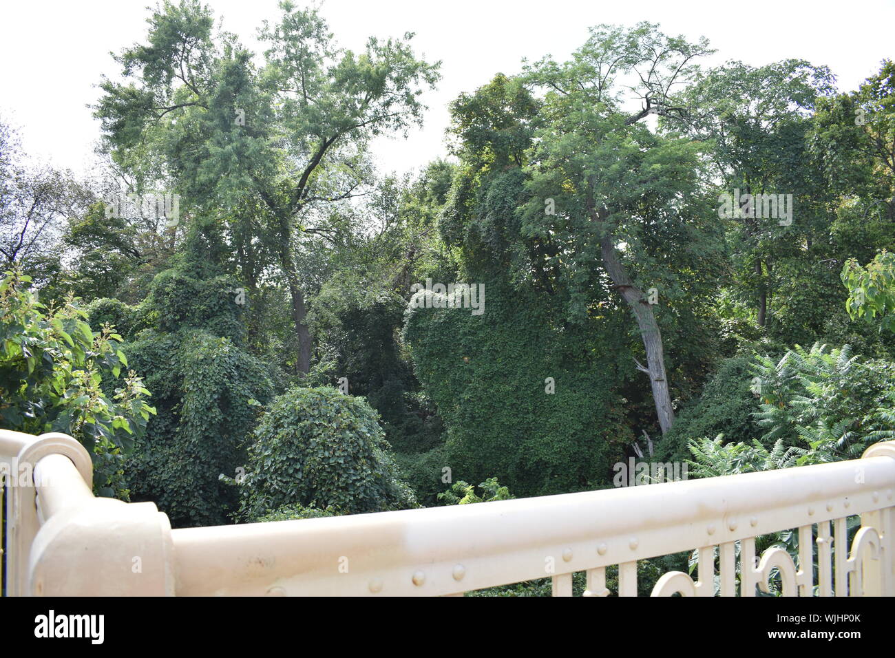 Locks on pittsburgh bridge hi-res stock photography and images - Alamy