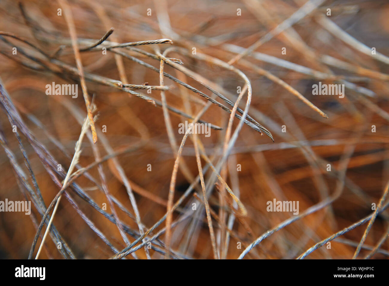 Rusty metal wire in a mess - dump Stock Photo - Alamy