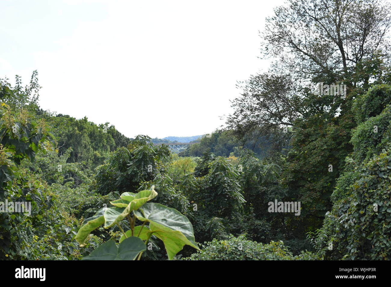 Locks on pittsburgh bridge hi-res stock photography and images - Alamy