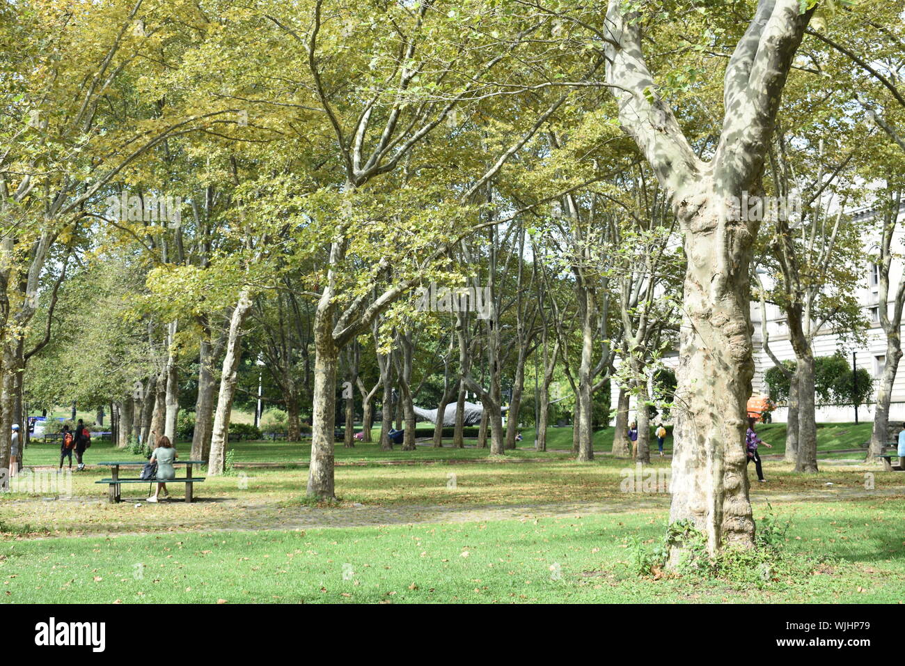 Locks on pittsburgh bridge hi-res stock photography and images - Alamy