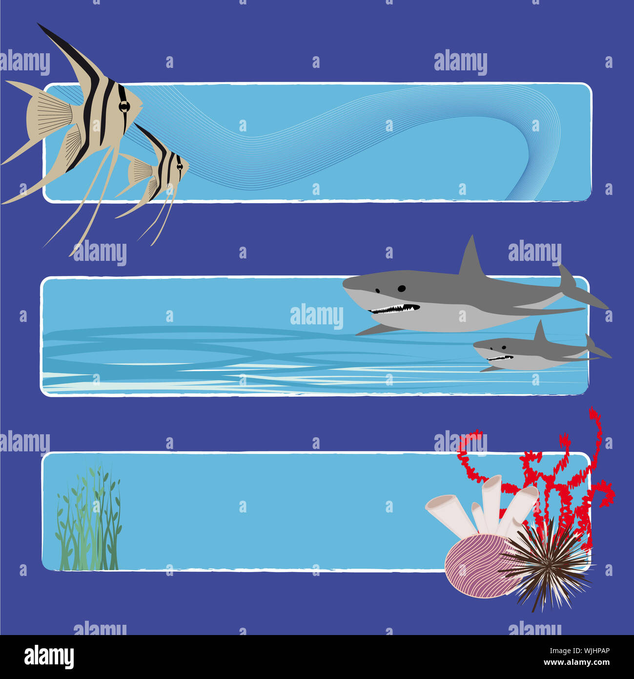 Waves banner shark frame border hi-res stock photography and images - Alamy