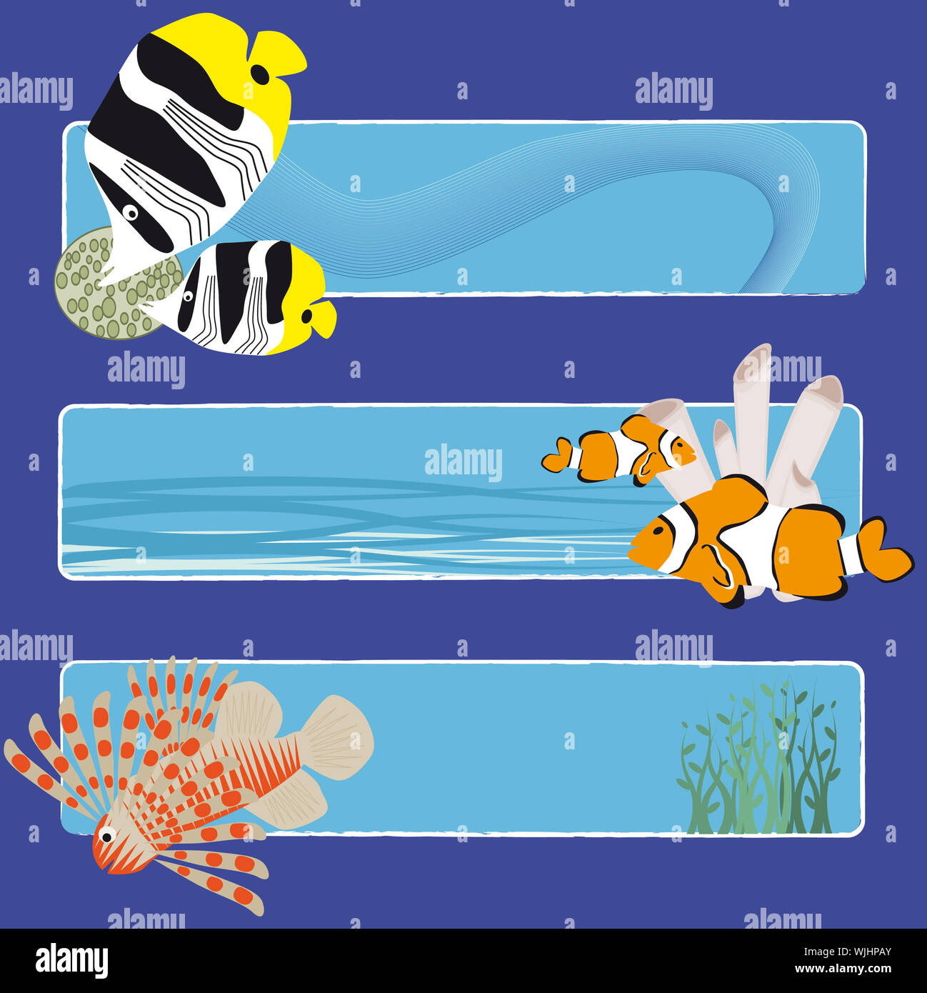three tropical fish banners no text indicate sea world creatures Stock ...