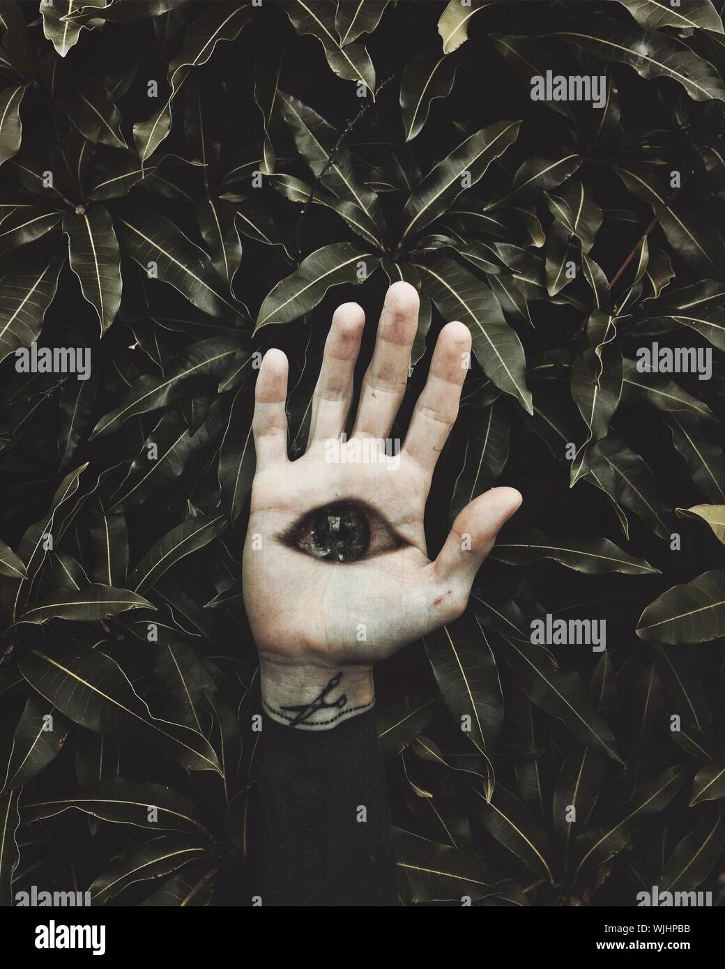 Hand over one eye hi-res stock photography and images - Alamy