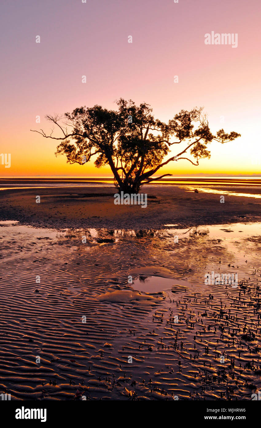 Nudge Beach Queensland Australia Sunrise Stock Photo - Alamy