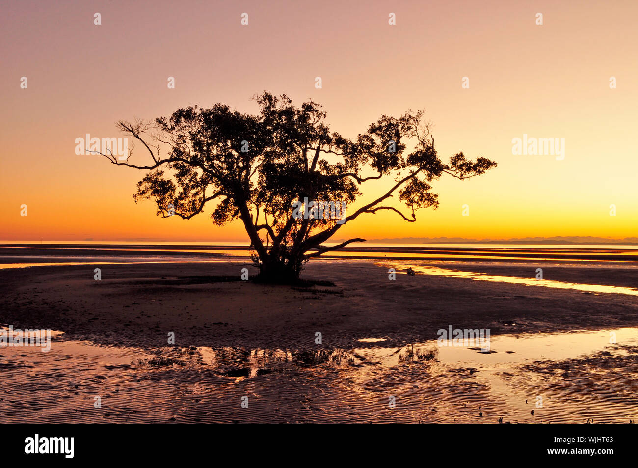 Nudgee Beach High Resolution Stock Photography and Images - Alamy