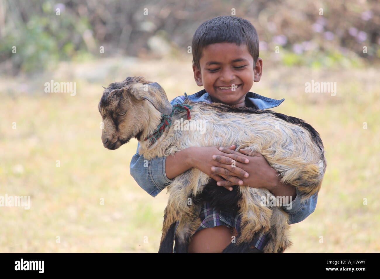 Person holding goat hi-res stock photography and images - Alamy