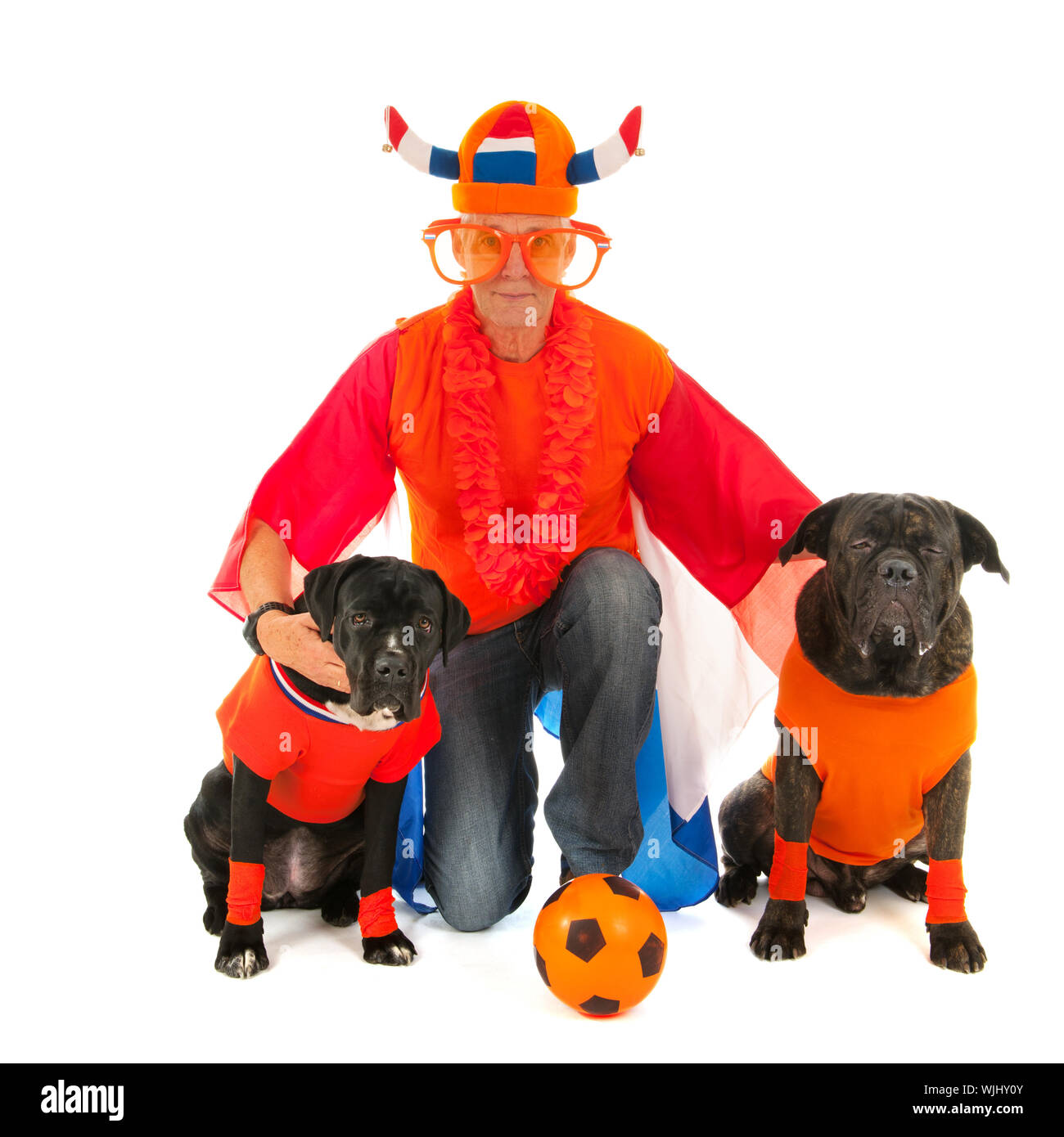 man with his dogs laying with Dutch colors and orange sweaters as ...