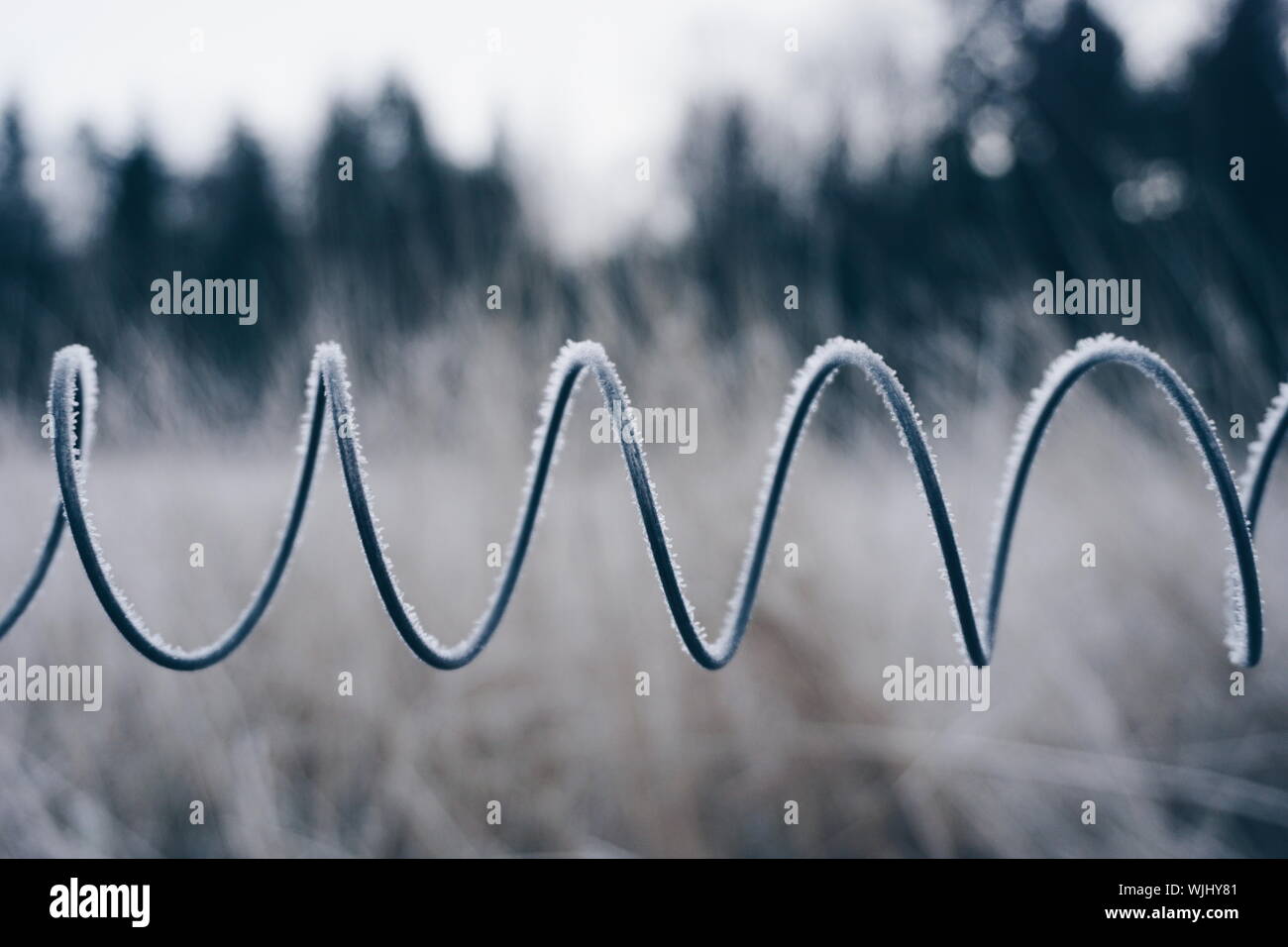 Beauty of spiral wire hi-res stock photography and images - Alamy