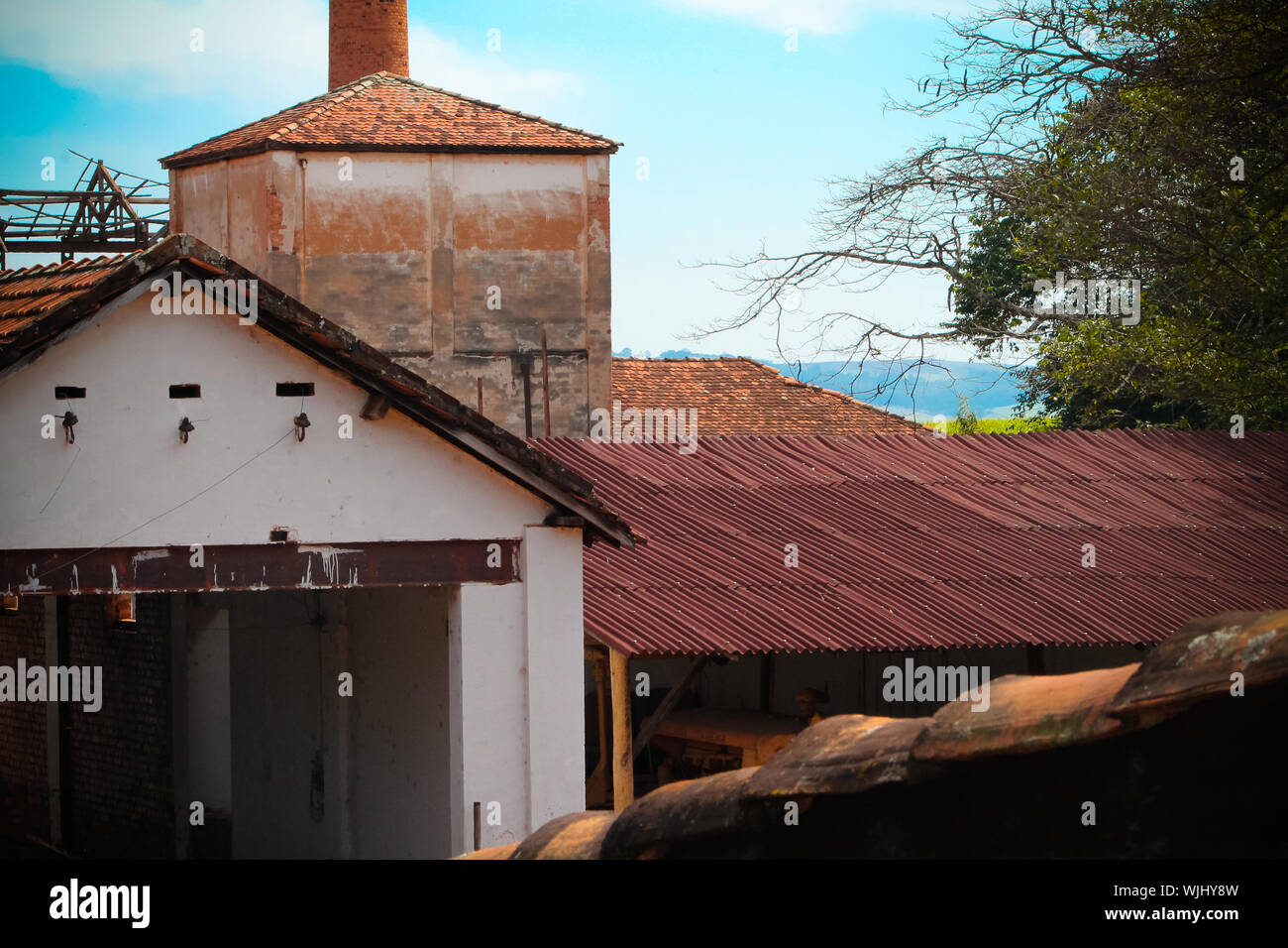 various food dishes, pizza, sphirra, snacks and various Stock Photo - Alamy