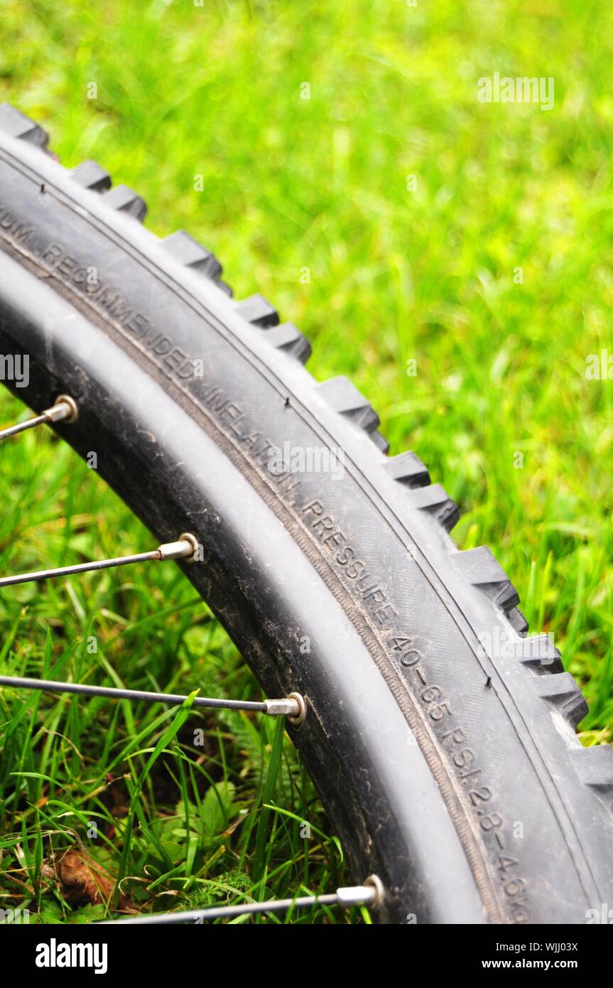 mountain bike offroad tire in green grass showing sport in nature ...