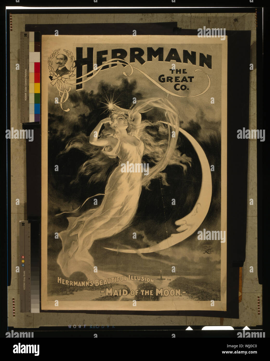 Herrmann the great hi-res stock photography and images - Alamy
