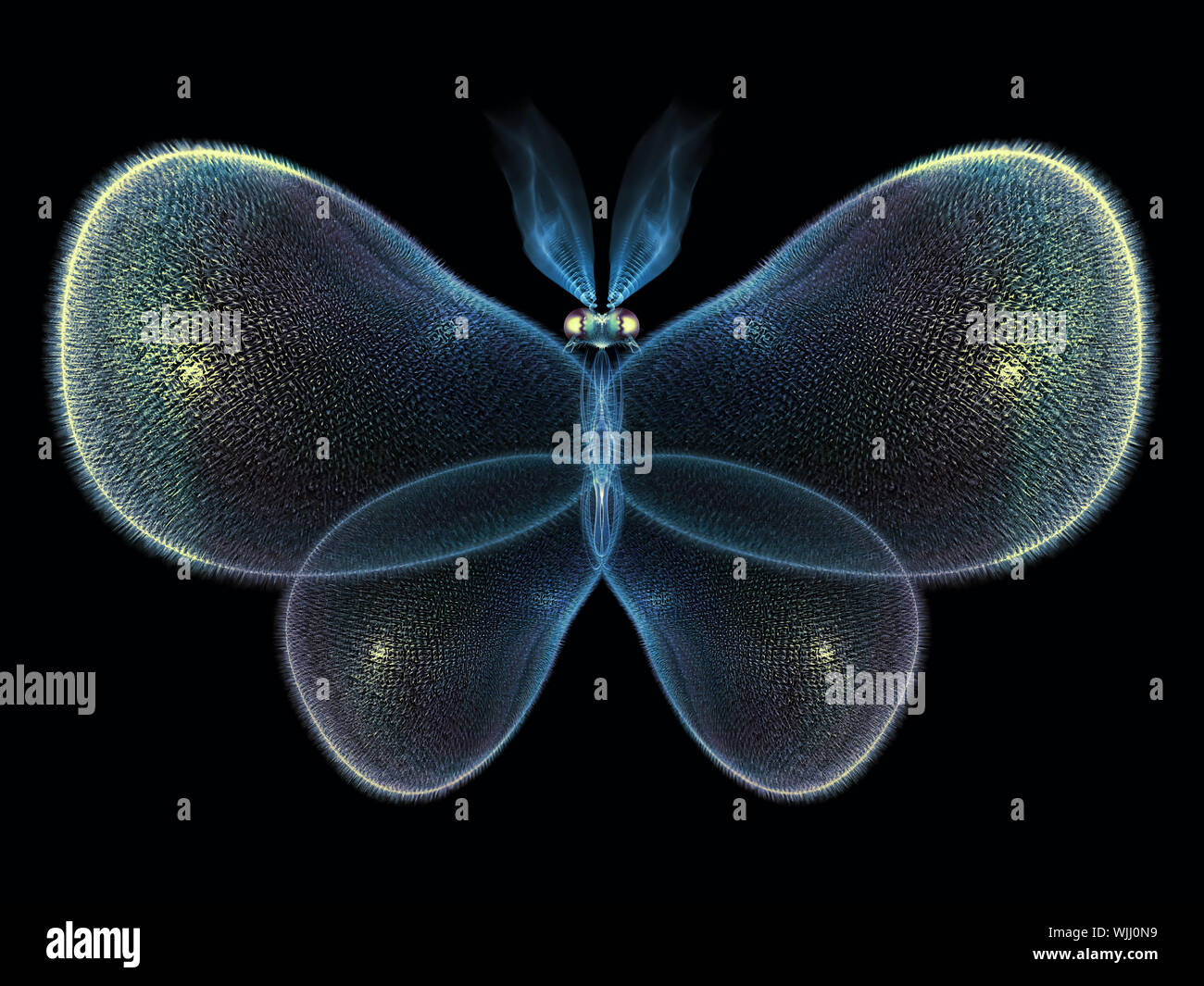 Never Were Butterflies series. Design composed of isolated butterfly ...