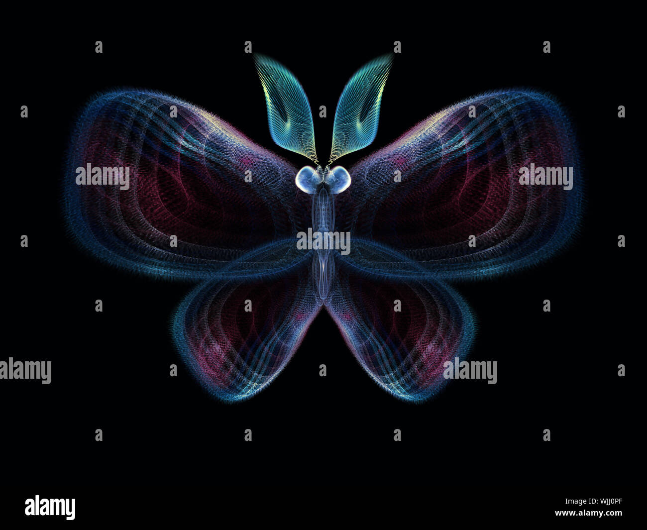 Never Were Butterflies series. Creative arrangement of isolated ...