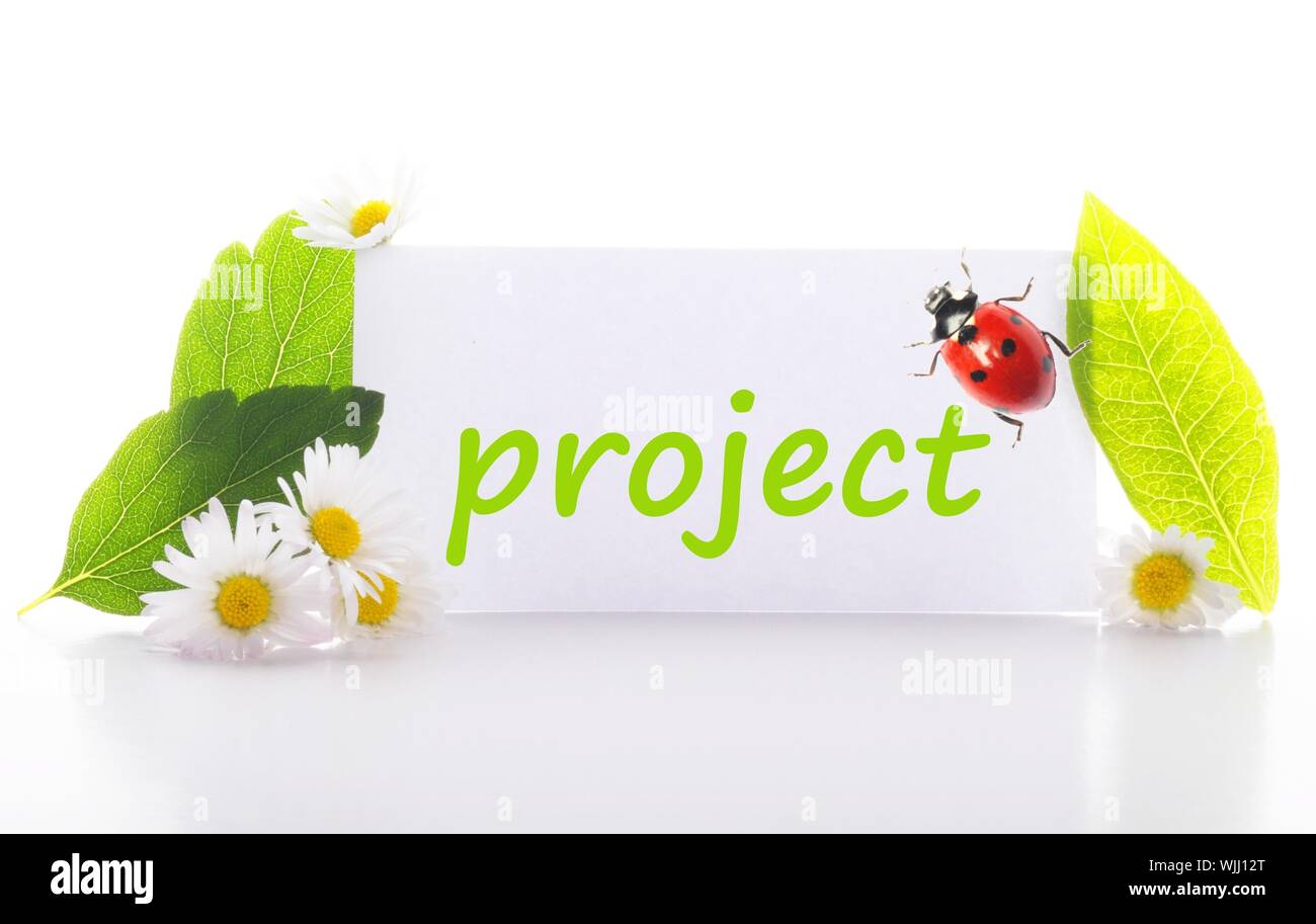 project concept with word on nature still life Stock Photo - Alamy