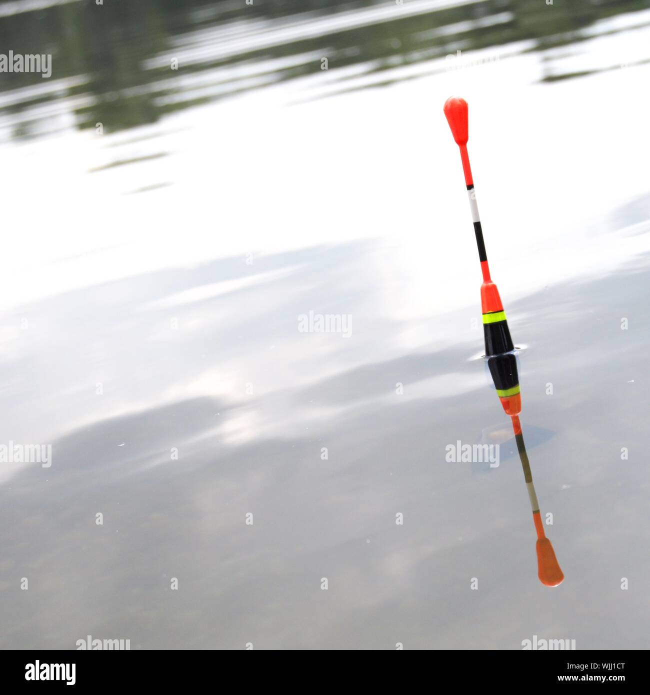 bobber or fishing float in water showing success concept Stock Photo ...