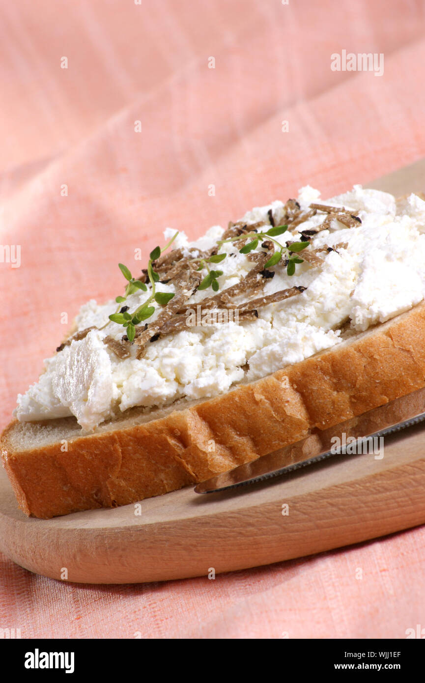 organic summer truffle with bread and cottage cheese Stock Photo - Alamy