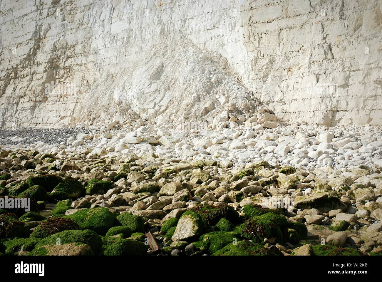 Cliff moss hi-res stock photography and images - Alamy