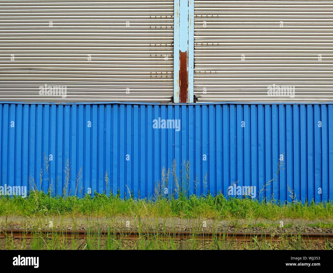Corrugated plant hi-res stock photography and images - Alamy