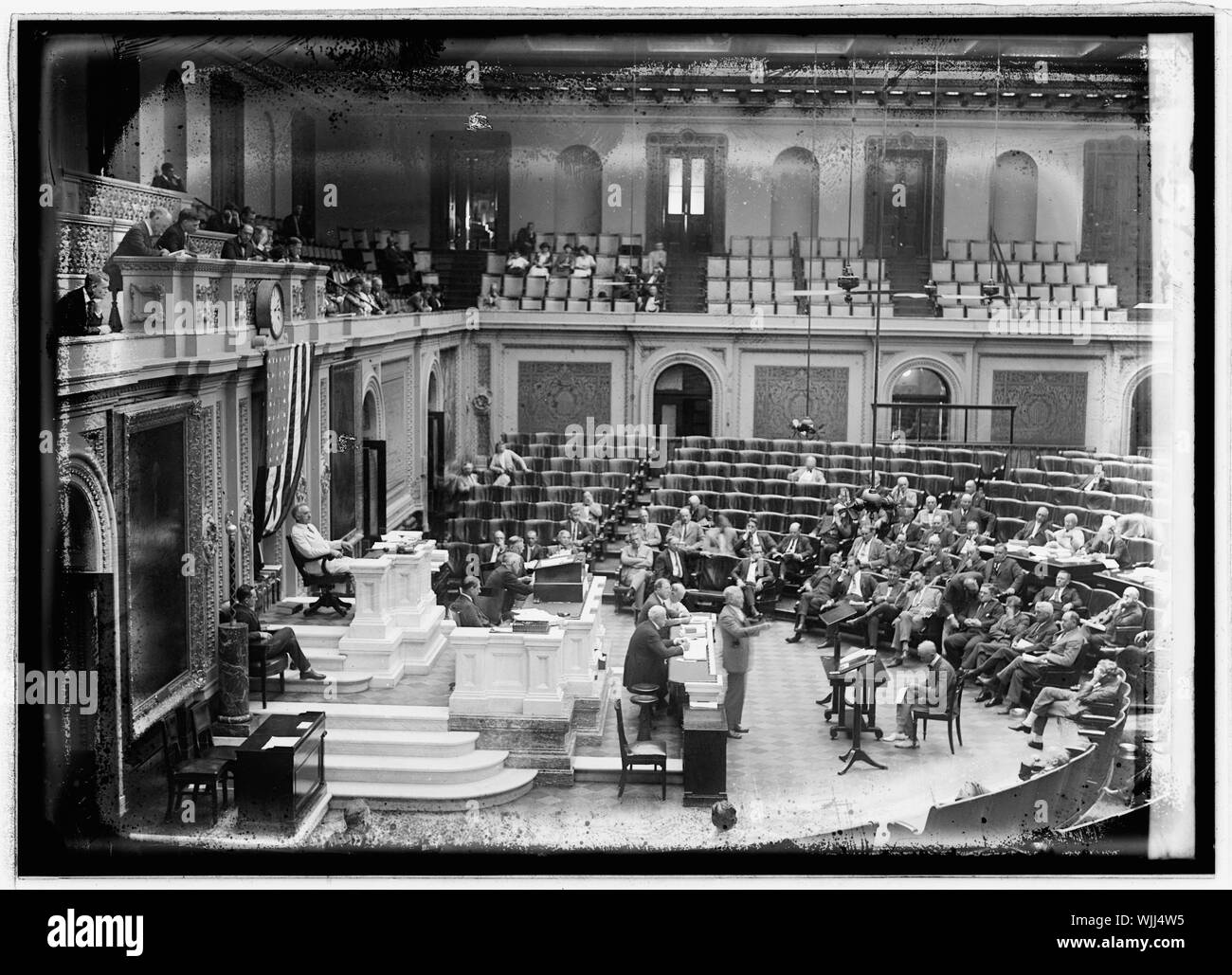 Tree identification tag Black and White Stock Photos & Images - Alamy