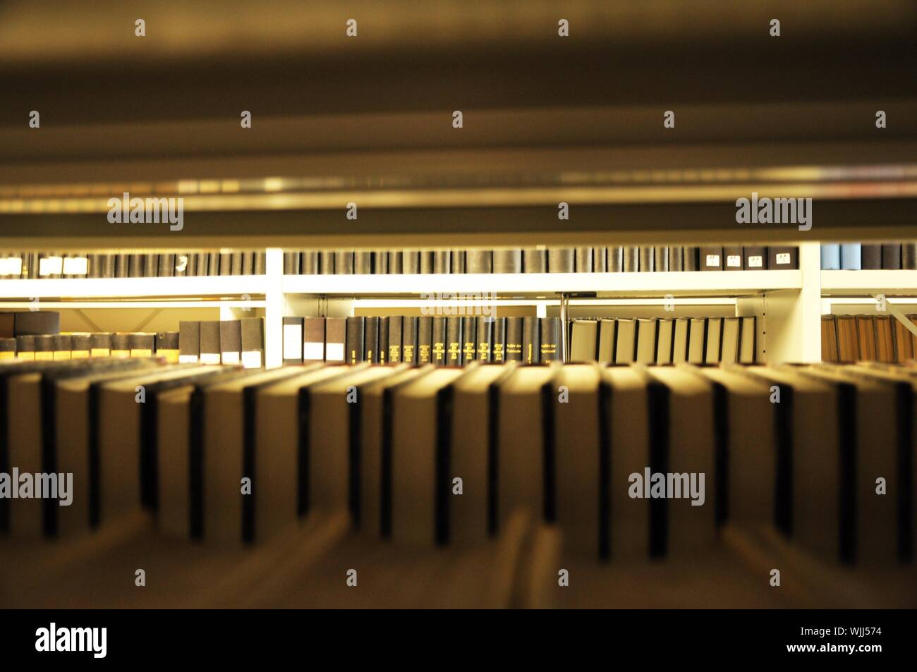 look through books showing library or university education concept ...