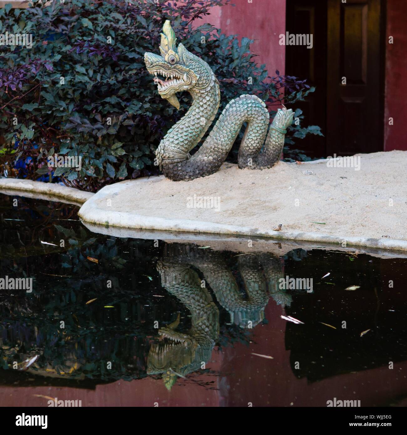 So dragon pond hi-res stock photography and images - Alamy
