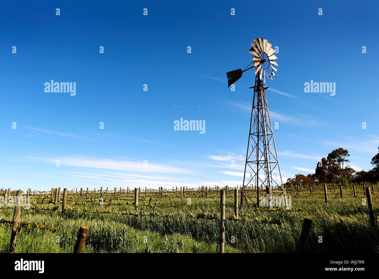 American farm windmill hi-res stock photography and images - Alamy