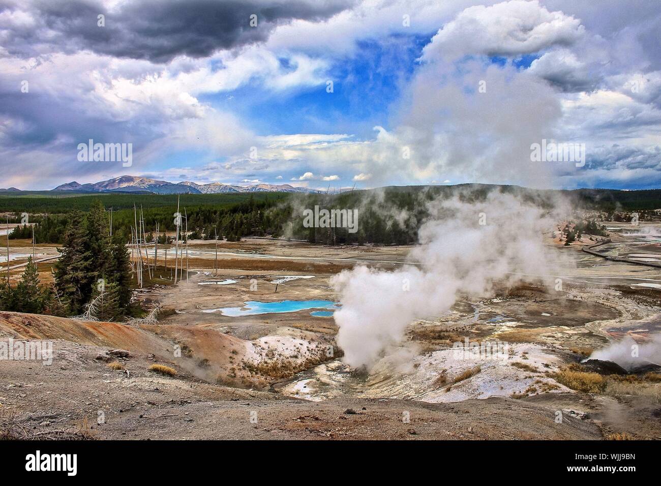 Steam day out hi-res stock photography and images - Alamy