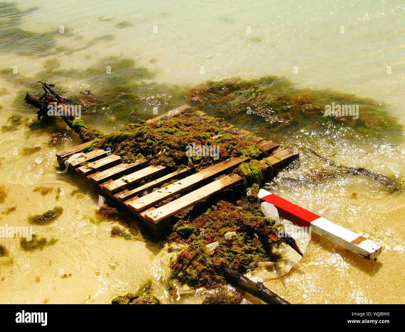 Sea pallet hi-res stock photography and images - Alamy