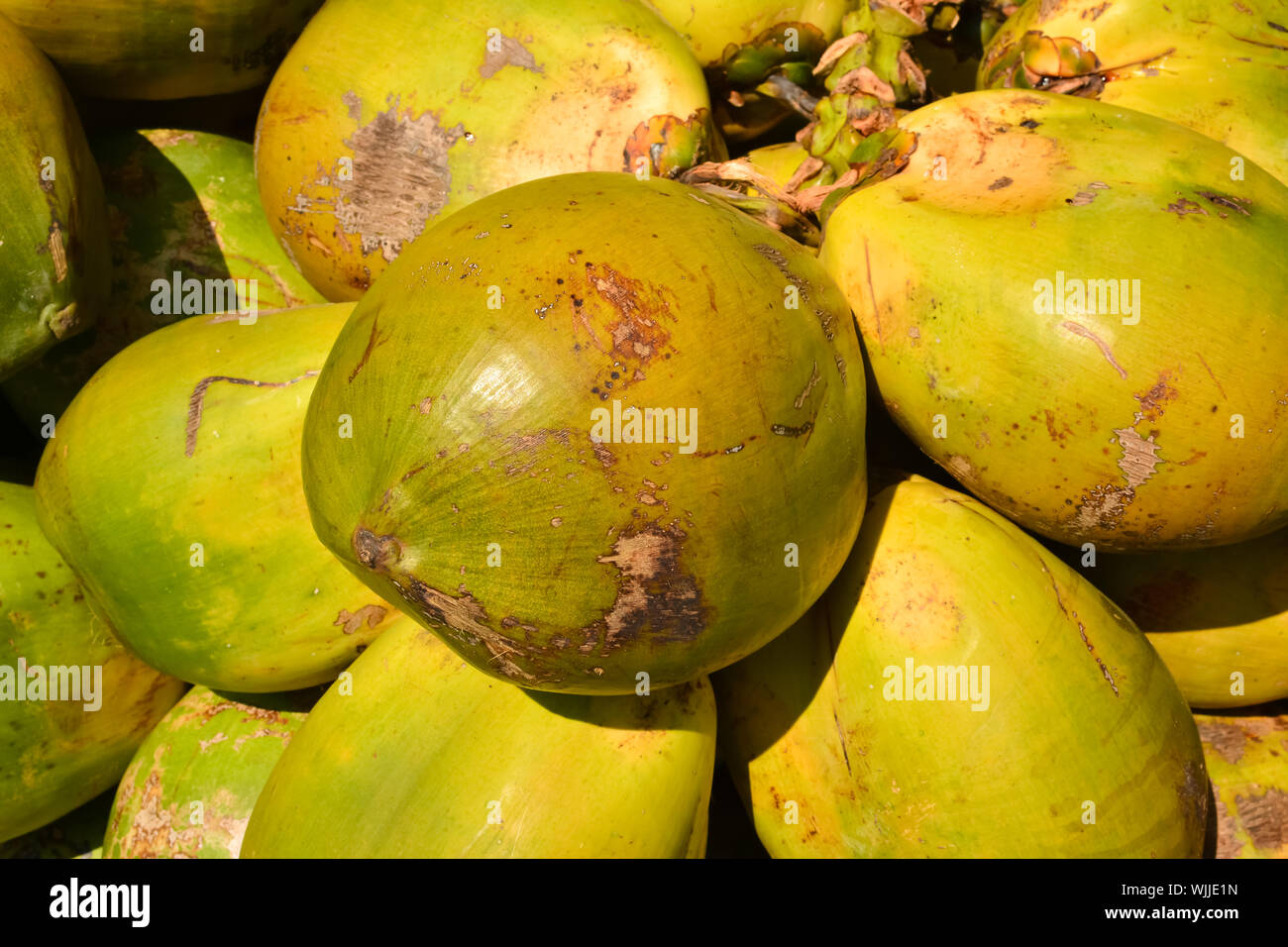 Group of coconuts Stock Photo - Alamy