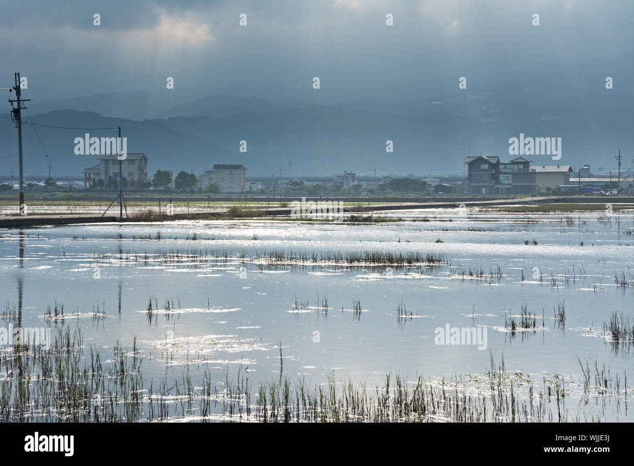 Landscape with a swamp, shot at Yilan county, Taiwan, Asia Stock Photo ...