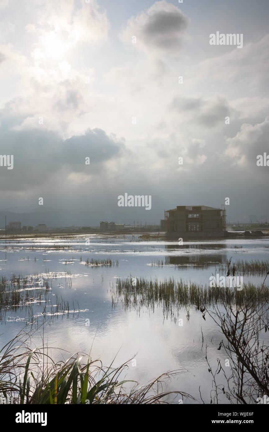 Landscape with a swamp, shot at Yilan county, Taiwan, Asia Stock Photo ...