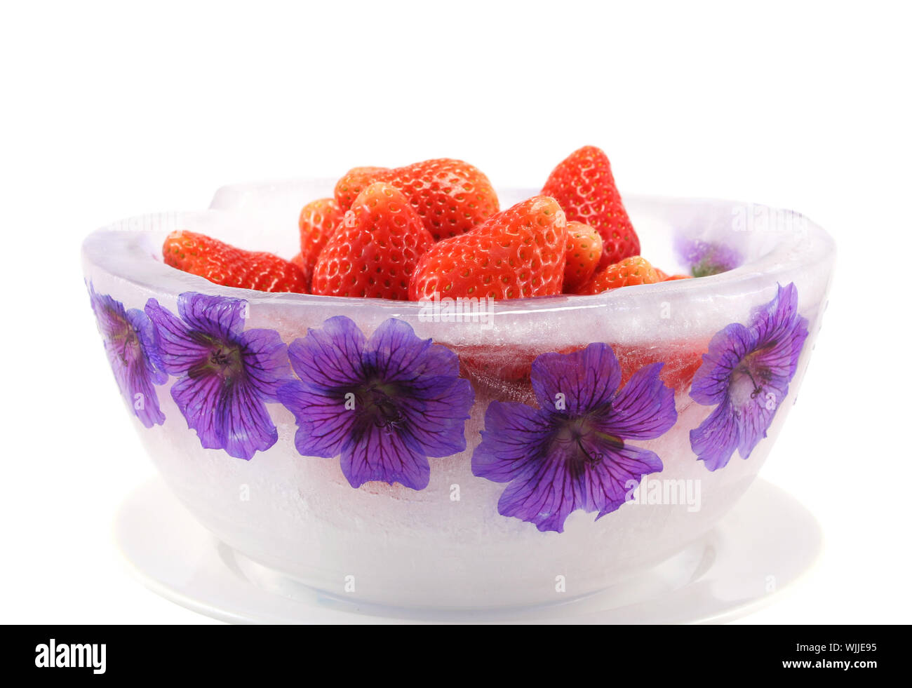 Decorative bowl made of ice and perennial geranium flowers, filled with ...