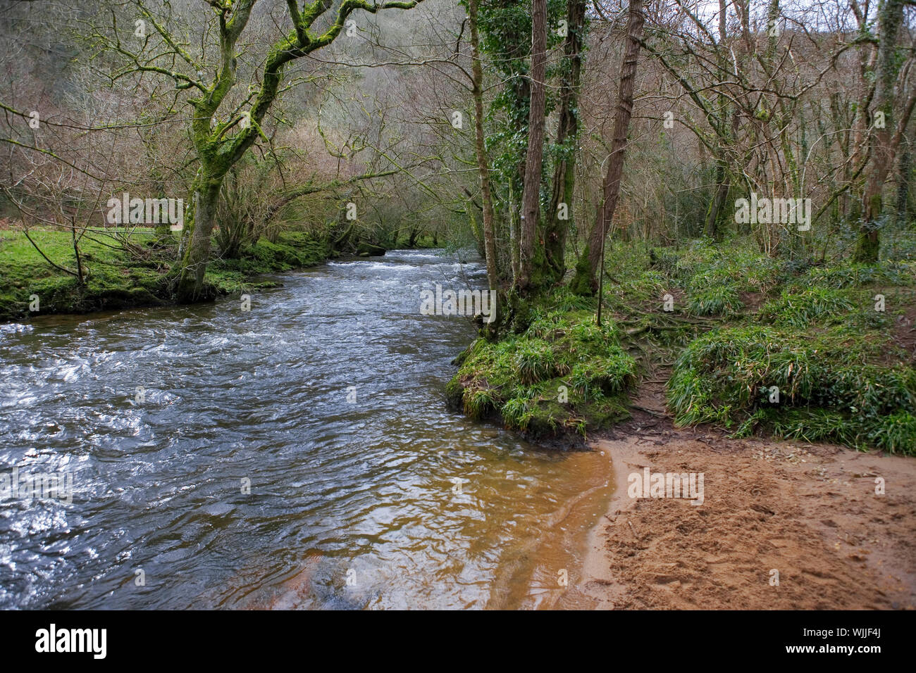 Steps bridge hi-res stock photography and images - Alamy
