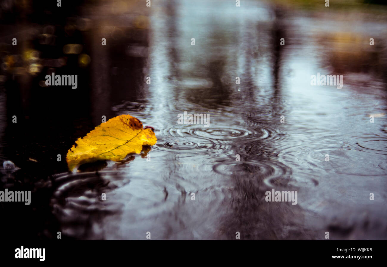 Puddle Of Rain Water High Resolution Stock Photography and Images - Alamy