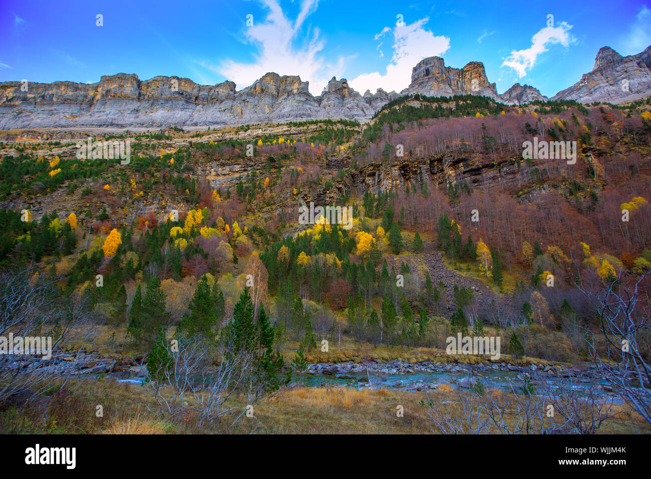 Pelay hi-res stock photography and images - Alamy