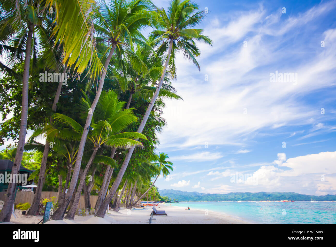 Tropical beach with beautiful palms and white sand, Philippines Stock ...