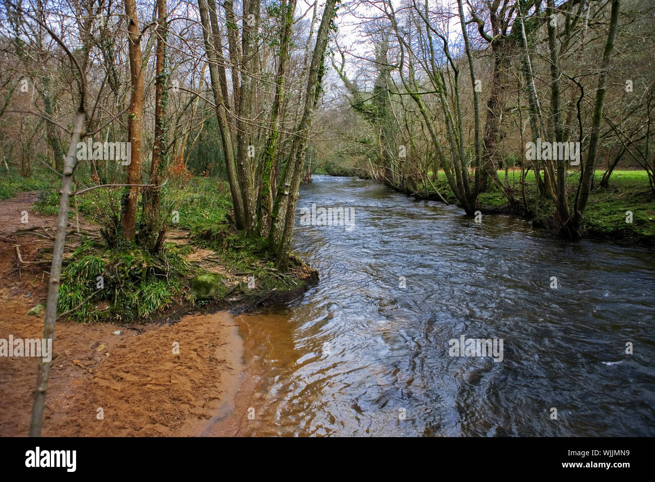 The River Teign near Steps Bridge, Devon, UK in Winter Stock Photo - Alamy