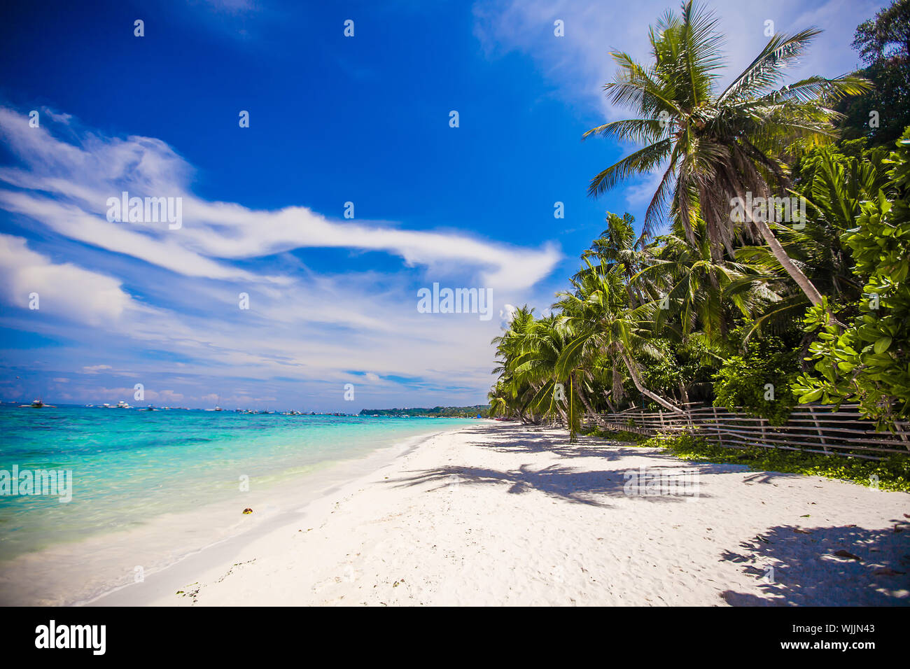 Tropical beach with beautiful palms and white sand Stock Photo - Alamy