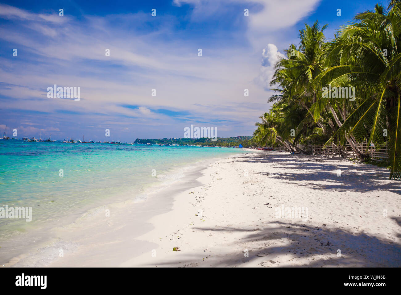 Tropical beach with beautiful palms and white sand, Philippines Stock ...