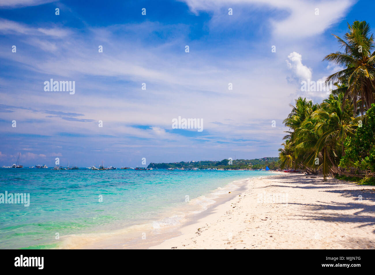 Tropical perfect beach with beautiful palms and white sand Stock Photo ...